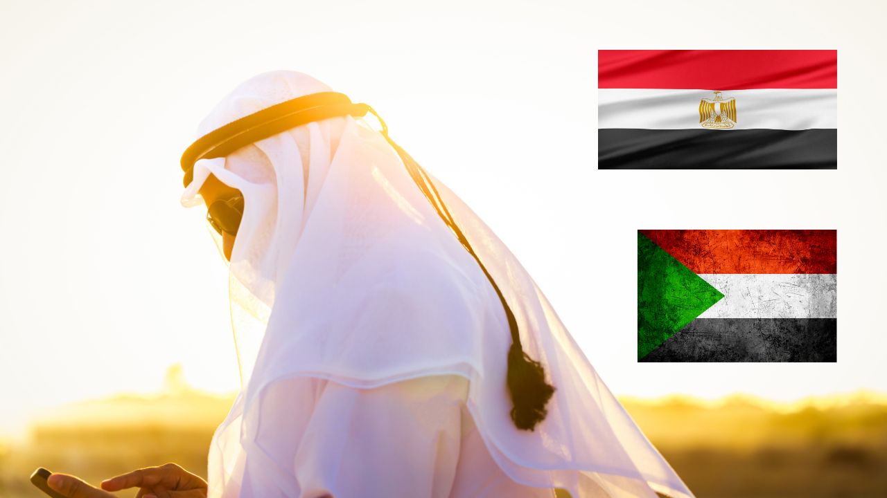 LABS | SAP GOLD PARTNER | News